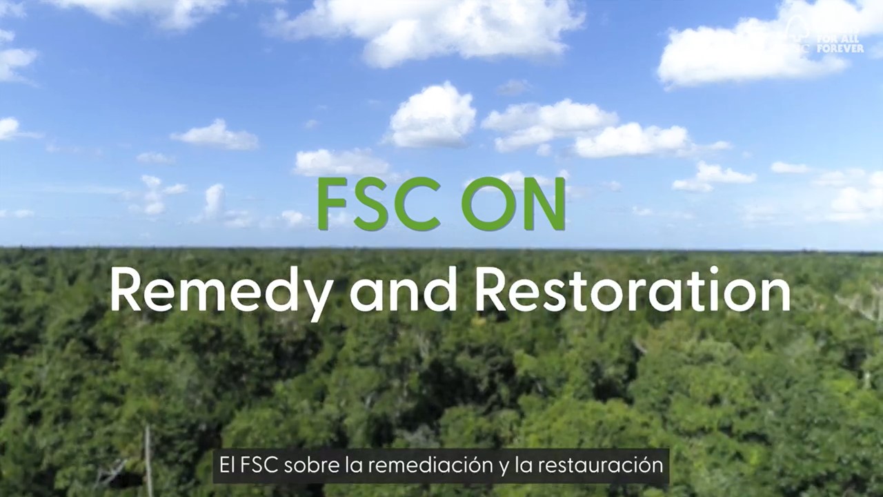 Nueva serie de videos se crea durante la Asamblea General 2022 | Forest Stewardship Council